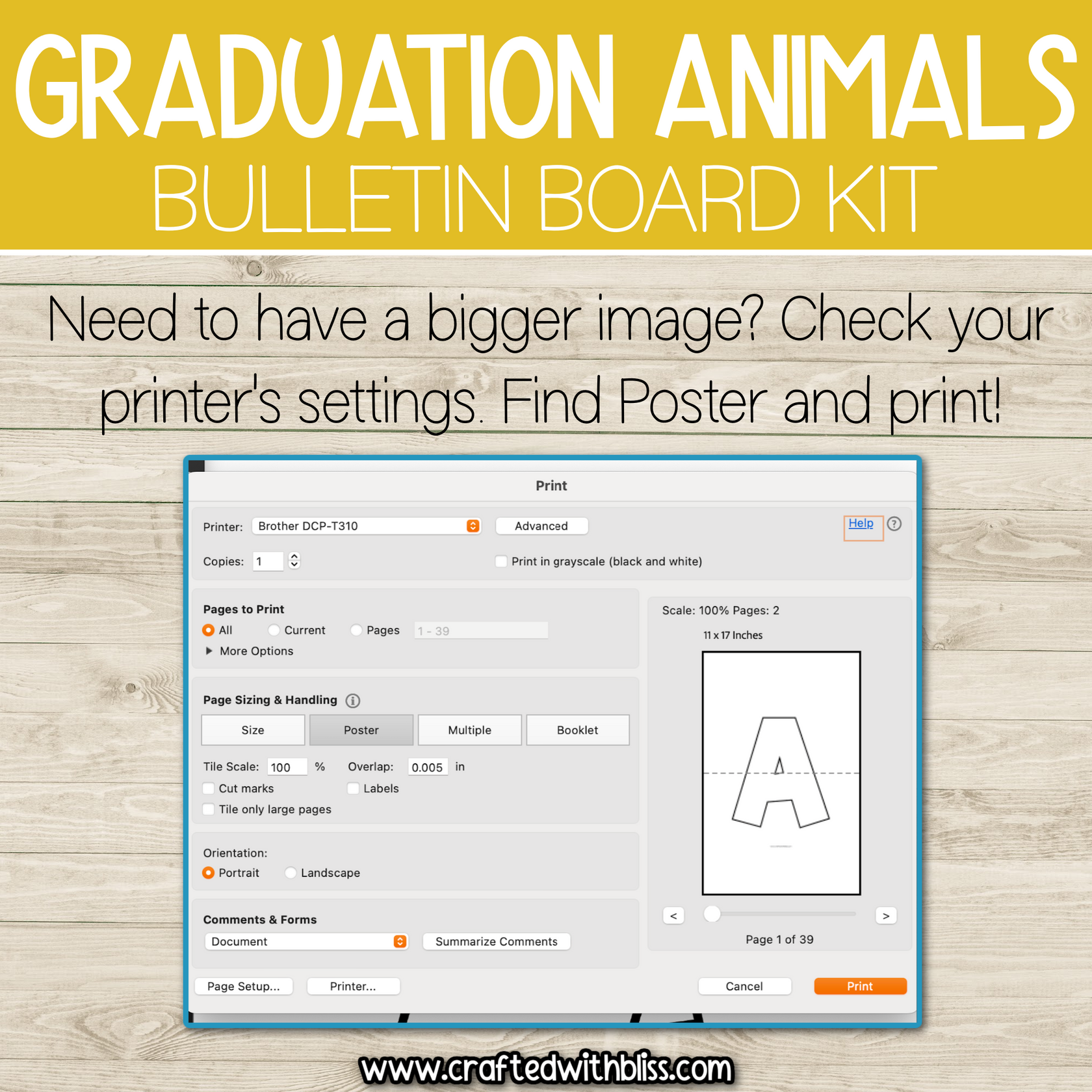 Graduation Animal Theme Bulletin Board Kit Door Classroom Decor End of ...